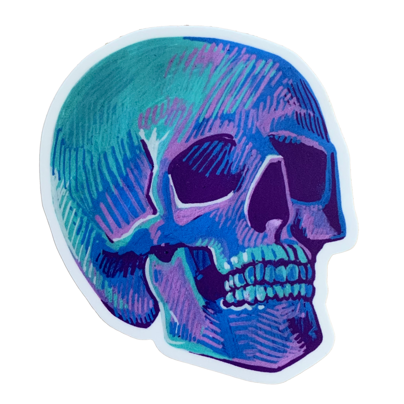 Cool Blue Skull Sticker – hellobluebelle